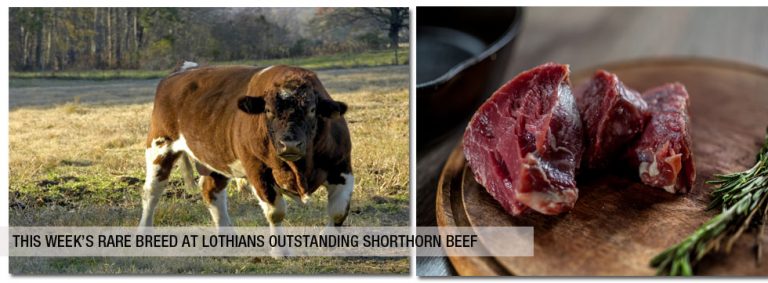 Rare Breed Meats at Lothian's